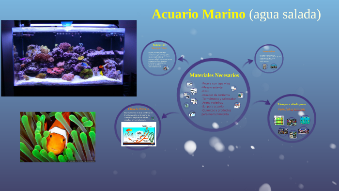 Acuario Marino (agua salada) by Carlos Abad on Prezi