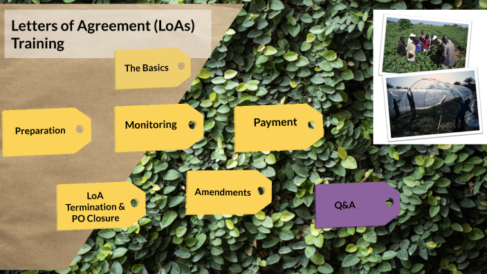 FAO Letter of Agreement (LOA) by Tania Abdirizzak on Prezi