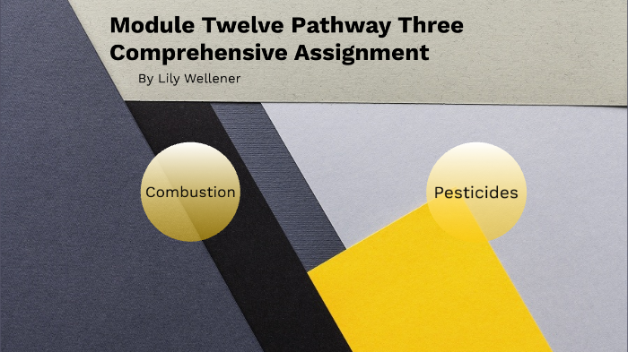 Module Twelve Pathway Three Comprehensive Assignment by Lily Wellener on Prezi