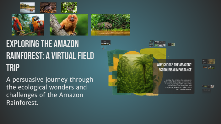 Exploring the Amazon Rainforest: A Virtual Field Trip by COLTON CARRUTH ...