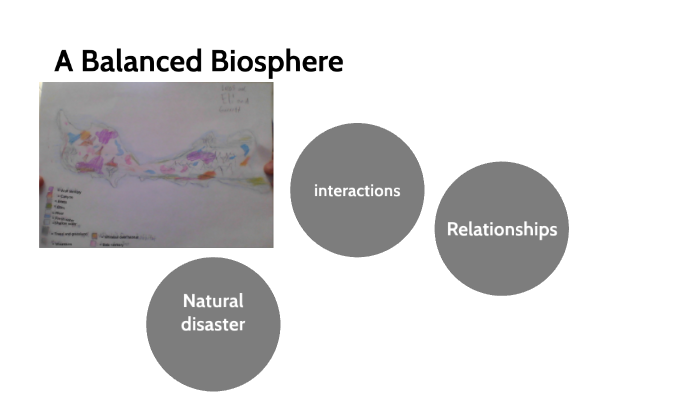 A Balanced Biosphere by Lucas Adaro on Prezi