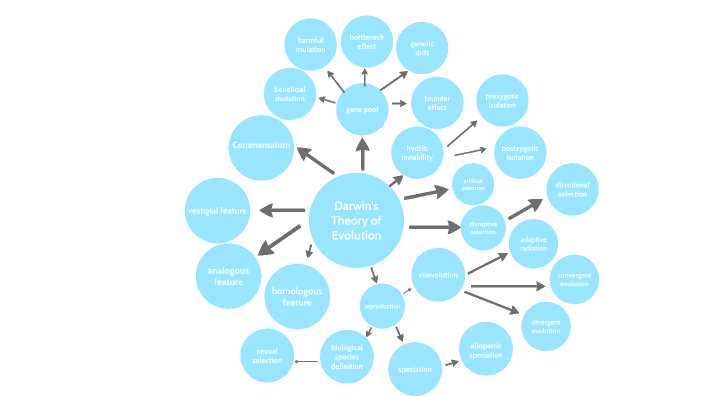 Evolution Concept Map by roxanne briggs on Prezi