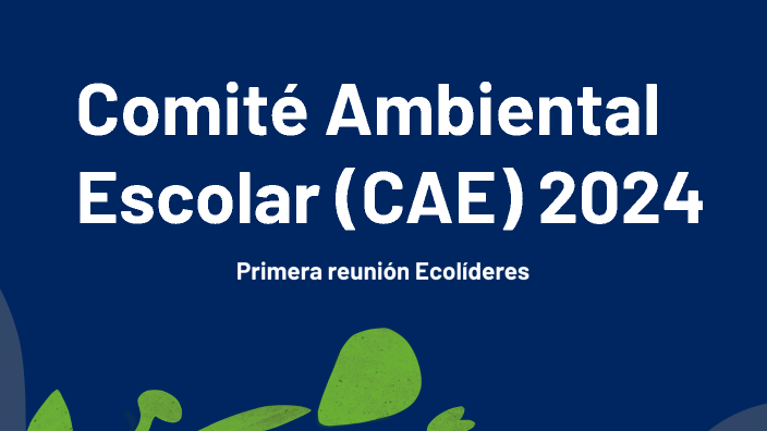 Presentación CAE 2024 by Oscar Jiménez on Prezi