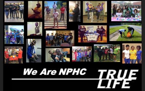 What is NPHC? by Marquis Bailey on Prezi
