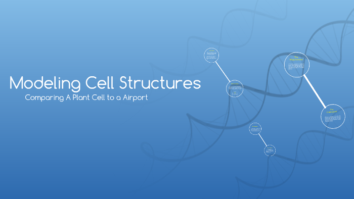 Modeling Cell Structures by John Curley on Prezi