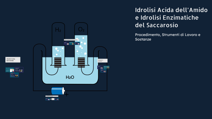 Idrolisi Acida dell’Amido e Idrolisi Enzimatiche del Saccarosio by ...