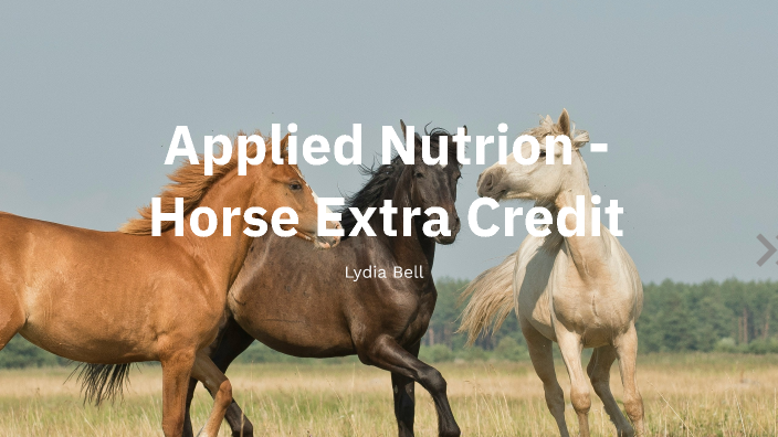 Applied Nutrion - Horse Extra Credit by Lydia Bell on Prezi