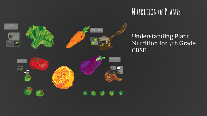 Nutrition of Plants by ADAM RAIHAN ANSAL on Prezi