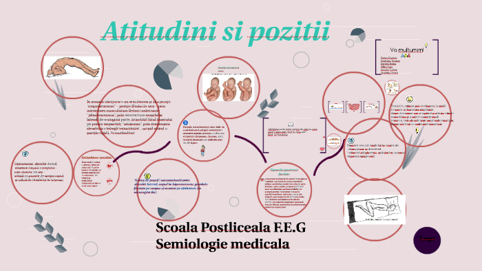 Scoala Postliceala F.E.G by Petric Paula on Prezi