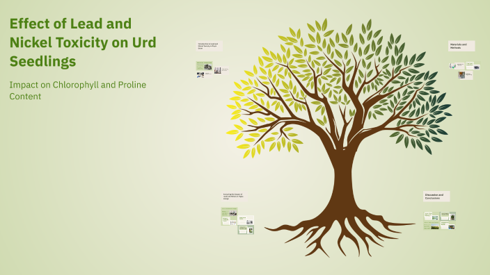 Effect of Lead and Nickel Toxicity on Urd Seedlings by JAY PRAKASH on Prezi