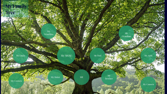 ASL Family Tree by Grant Schloe on Prezi