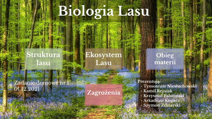 Ekosystem Lasu by Tymoteusz N. on Prezi