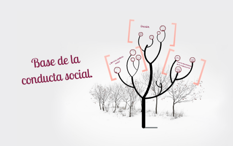 Bases de la conducta social by mayari mendoza quiñones on Prezi