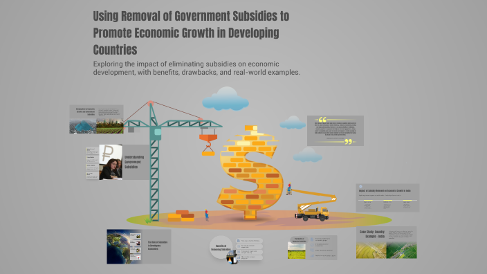 Using Removal of Government Subsidies to Promote Economic Growth in ...
