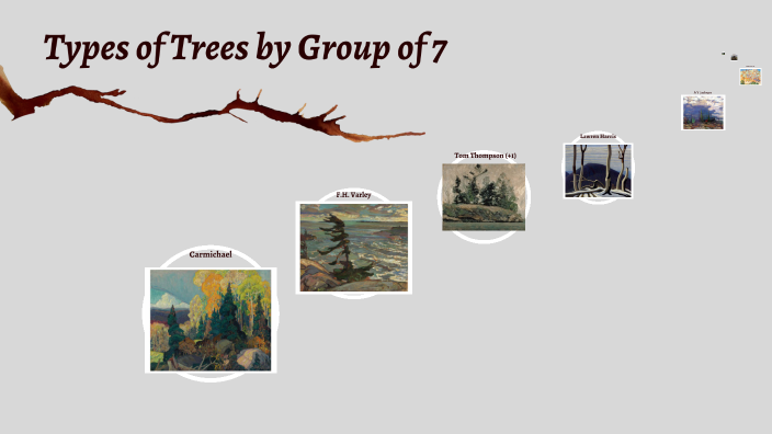 Types of Trees Quiz (Group of 7) by Christine Andrews on Prezi