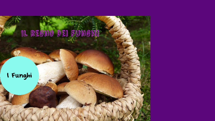 Il regno dei Funghi by Clara Genovese on Prezi