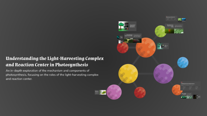 Understanding the Light-Harvesting Complex and Reaction Center in ...