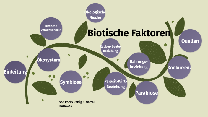 Kopie Von Biotische Faktoren By Rocky Rettig On Prezi