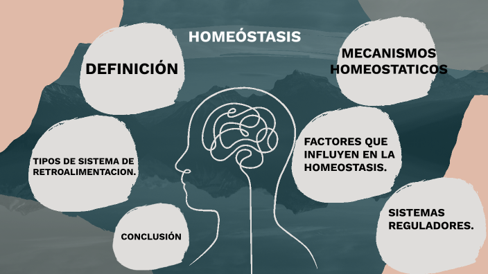 HOMEÓSTASIS by LAURA RODRIGUEZ on Prezi