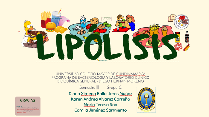 LIPÓLISIS by diana muñoz on Prezi