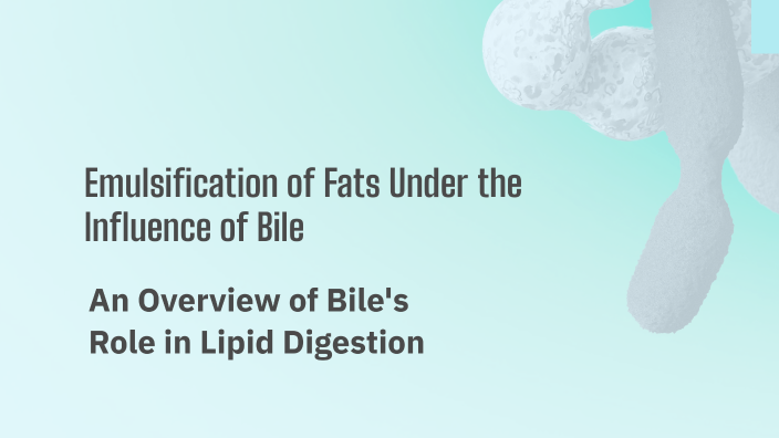 Emulsification of Fats Under the Influence of Bile by Константиновская ...