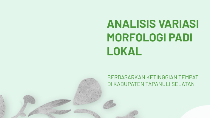 ANALISIS VARIASI MORFOLOGI PADI LOKAL by Fery Nasution on Prezi