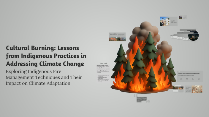 Cultural Burning: Lessons from Indigenous Practices in Addressing ...