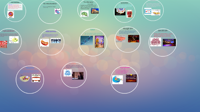 A CELL IS A CIRCUS by tamiyah poole on Prezi