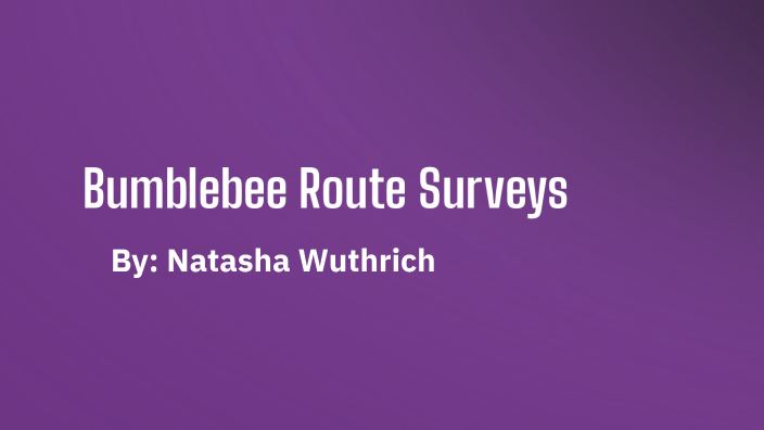 Exploring Bumblebee Survey Routes by Natasha Wuthrich on Prezi Exploring Bumblebee Survey Routes by Natasha Wuthrich on Prezi