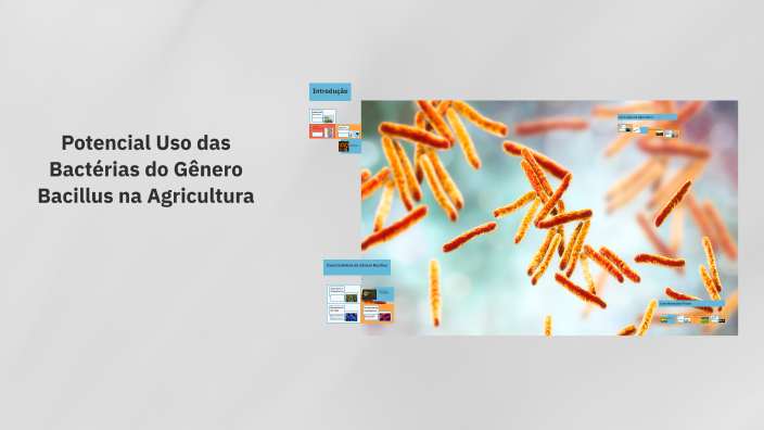 Potencial Uso das Bactérias do Gênero Bacillus na Agricultura by ...