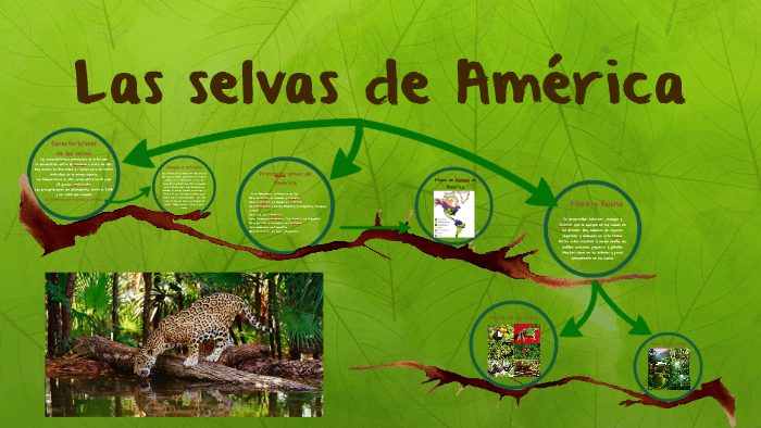 Las selvas de América by Santiago Fernando Britos Solazzo on Prezi