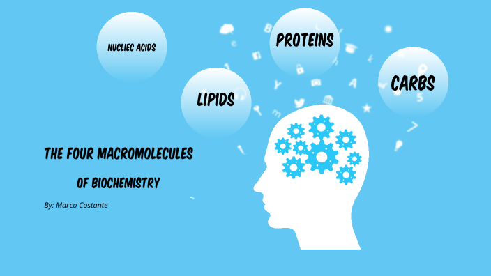 The Four Macromolecules of Biochemistry by Marco Costante on Prezi