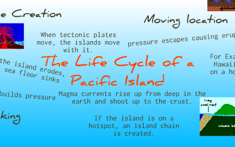 The Life Cycle of a Pacific Island by Shawn Laxa on Prezi