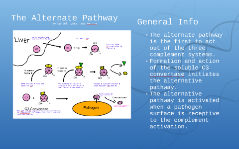 The Alternative Pathway by Daniel Magley on Prezi
