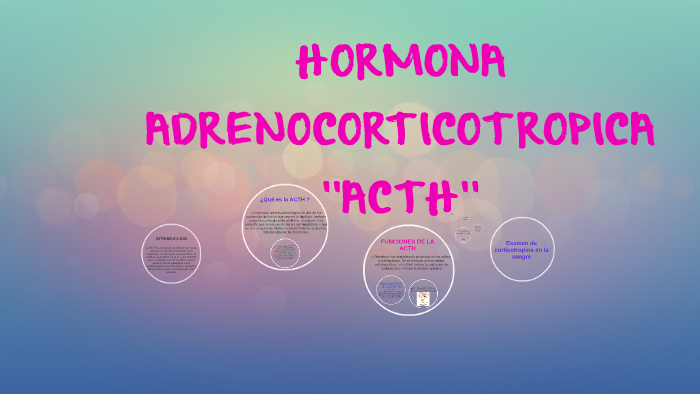 HORMONA ADRENOCORTICOTROPICA ACTH by katerine zambrano on Prezi