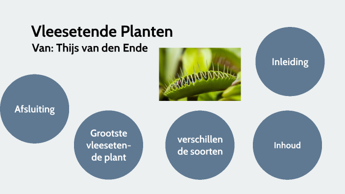 Vleesetende Planten by Thijs van den Ende on Prezi