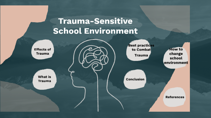 trauma-affected children and how to create a trauma-sensitive ...