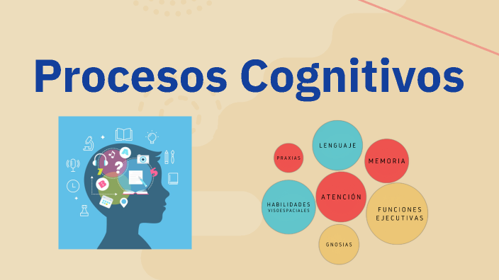 Procesos Cognitivos Y El Cerebelo By Catalina Rubio On Prezi