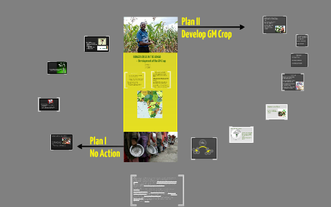 Fighting Hunger in the Congo by Becka Anton on Prezi