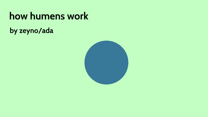 how humens work by Zeyno Gunduz on Prezi