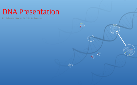 DNA Presentation by Rebecca Day on Prezi