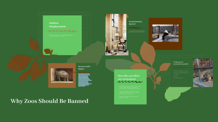 Why Zoos Should Be Banned by Memphis D'Alessandro on Prezi