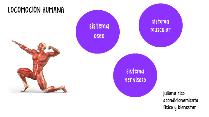 LOCOMOCIÓN HUMANA by JULIANA RICO on Prezi