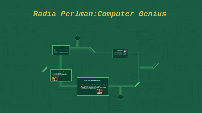 Radia Perlman:Computer Genius by Dylan C.