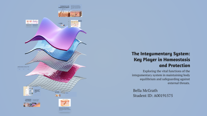 The Integumentary System: Key Player in Homeostasis and Protection by ...
