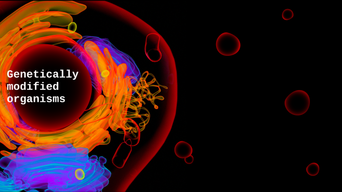 Gentically Modified Organisms by ANTHONY EMERICK on Prezi