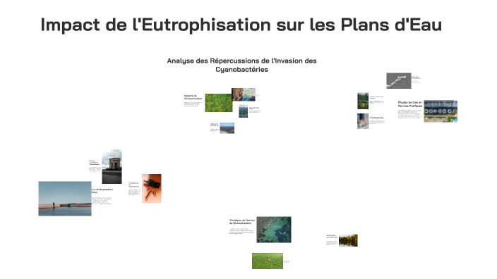 Impact de l'Eutrophisation sur les Plans d'Eau by Maya S on Prezi