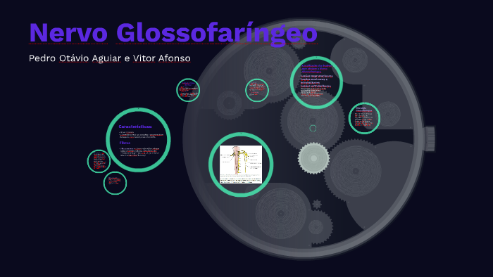 Via Do Nervo Glossofaringeo