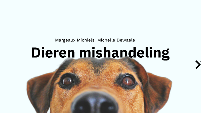 M&S-dierenmishandeling by Margeaux Michiels on Prezi