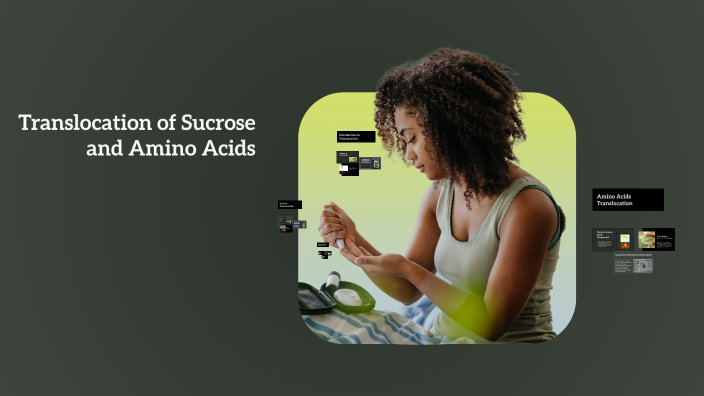 Translocation of Sucrose and Amino Acids by Jana Bonikowska on Prezi